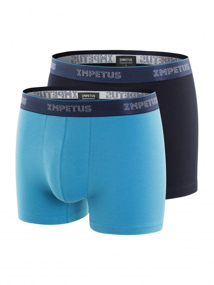 Lot 2 Boxers - 66E-P22066E-G07 | IMPETUS